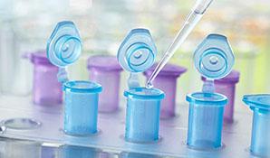 Preclinical Drug Development Toxicology Studies - Preclinical CRO ...